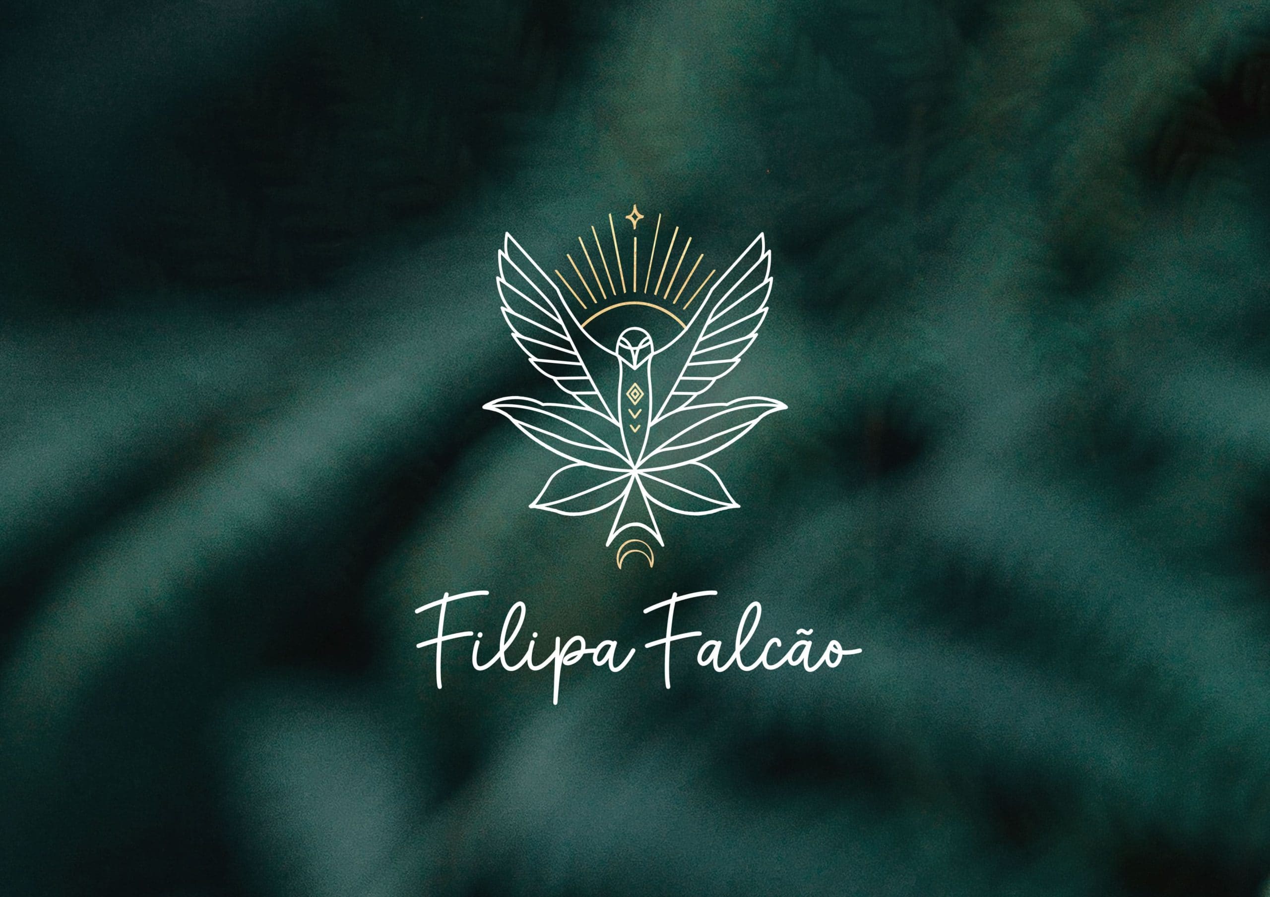 Condições de Compra - Filipa Falcão